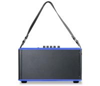 China CE Portable Bluetooth Speaker Karaoke Party Speaker With Wireless Microphone for sale
