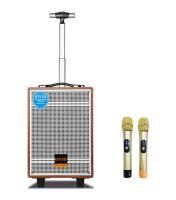 China 9KG Bluetooth 5.0 Portable Trolley Speaker 10 Inch Karaoke Speaker With Microphones for sale