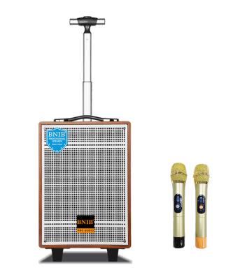China 9KG Bluetooth 5.0 Portable Trolley Speaker 10 Inch Karaoke Speaker With Microphones for sale