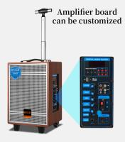 China 9KG Bluetooth 5.0 Portable Trolley Speaker 10 Inch Karaoke Speaker With Microphones for sale