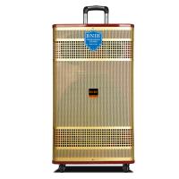 China Custom Wooden Portable Trolley Speaker Audio Sound System With Microphone for sale