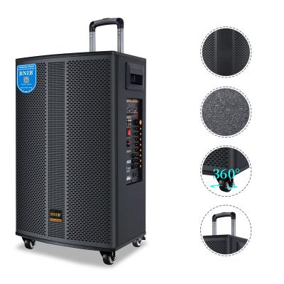 China Wooden Powerful Portable Trolley Speaker 60W With USB TF BT REMOTE Interface for sale