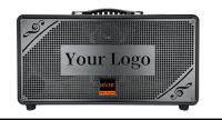 China Subwoofer 4 Ohms Outdoor Portable Speaker Lightweight With 2 Wireless Microphones for sale