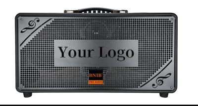 China Subwoofer 4 Ohms Outdoor Portable Speaker Lightweight With 2 Wireless Microphones for sale