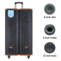 China Wooden Portable Trolley Speaker Sound System 45Hz - 20KHz Frequency Customized for sale