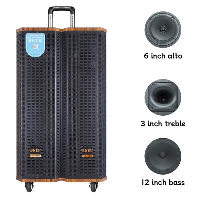 China Wooden Portable Trolley Speaker Sound System 45Hz - 20KHz Frequency Customized for sale