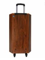 China ODM 800W Portable Trolley Speaker 12 Inch Outdoor Wireless Stereo Speakers for sale