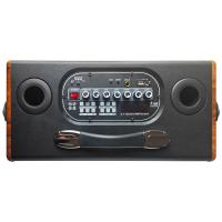 China 800 Watts Wireless Bluetooth Speaker Portable Outdoor Karaoke Speakers With Strap for sale