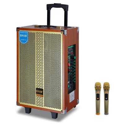 China 60W Wooden Portable Trolley Speaker With USB TF BT REMOTE Interface for sale