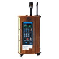 China 12 Inch Portable Trolley Speaker With Microphone Big Power Bluetooth 5.0 for sale