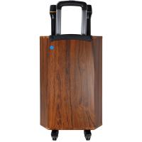 China 12 Inch Portable Trolley Speaker With Microphone Big Power Bluetooth 5.0 for sale