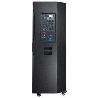 China 15 Inch Surround Sound Portable Speaker Remote Control Subwoofer Bluetooth Speaker for sale
