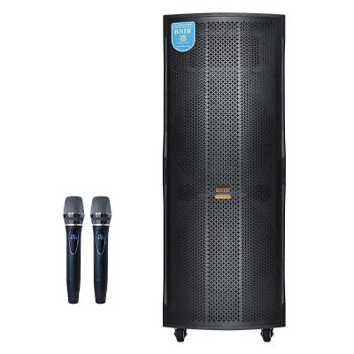 China 15 Inch Surround Sound Portable Speaker Remote Control Subwoofer Bluetooth Speaker for sale