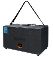 China Rechargeable Home Portable Karaoke Speaker High Definition With Two Microphones for sale
