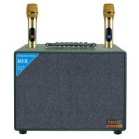 China Outdoor Bluetooth Portable Karaoke Speaker All In One 600W With Handle for sale