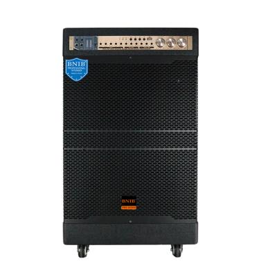 China Powerful USB TF BT Pre Amplified Speaker 15 Inch Battery Powered Audio Speakers for sale