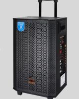 China Big Power Wireless Outdoor Portable Speaker 1000W Active Karaoke Trolley Speaker Box for sale