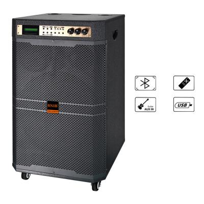 China 15 Inch Wooden Pre Amplified Speaker Karaoke Outdoor 1000 Watts Bluetooth USB Connect for sale