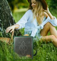 China Customized Karaoke Portable Bluetooth Speaker 6.5 Inch Subwoofer Speaker Box for sale