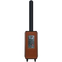 China 150 Watts Line Array Speakers Portable Karaoke Outdoor Wireless Bluetooth Speakers for sale