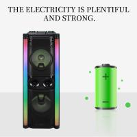 China Super Bass LED Party Bluetooth Speaker Box Powerful Sound Double 10 Inch for sale