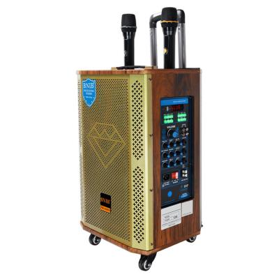 China 12 Inch Super Bass Outdoor Portable Speaker Wireless Custom Logo With Mic for sale