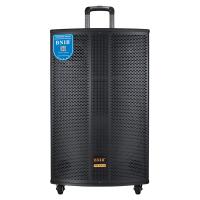 China Custom Brand Surround Sound Professional Wooden Trolley Speaker For Party for sale