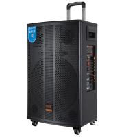 China Custom Brand Surround Sound Professional Wooden Trolley Speaker For Party for sale