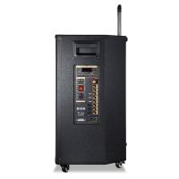 China Custom Brand Surround Sound Professional Wooden Trolley Speaker For Party for sale