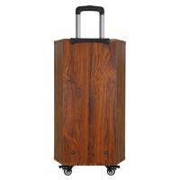China Surround Sound 12 Inch DJ Subwoofer Wooden Trolley Speaker With Wireless Mic for sale