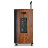 China Surround Sound 12 Inch DJ Subwoofer Wooden Trolley Speaker With Wireless Mic for sale