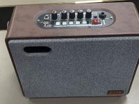 China Hot Selling Rechargeable Portable Speaker Outdoor Wooden Speaker Outdoor Wireless Karaoke Speaker for sale