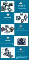 China Precision Rating P5 Pillow Block Bearing KP004 for Bearing Holder Made of Chrome Steel GCR15 for sale