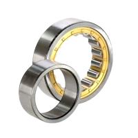 China Chrome Steel GCr15 Material N1004EM Cylindrical Roller Bearing for Industrial Machinery for sale