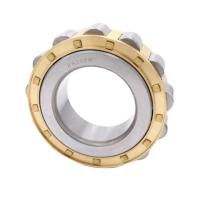 China 502309M1 RN309M Cylindrical Roller Bearing 45x86.5x25 mm Vibration V2 Long Life Open for sale