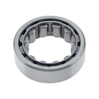 China NU311 Cylindrical Roller Bearing Steel Gcr15 Stainless Steel OPEN Roller Bearng Bore Size 10mm for sale