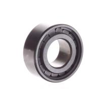 China Chrome Steel Gcr15 NCF 3005 CV Single Row Full Complement Cylindrical Bearing for sale