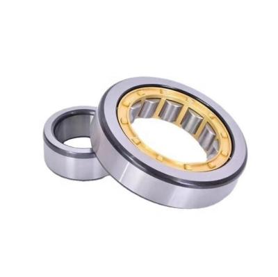 China Chrome Steel Cylindrical Roller Bearing NU1006EM NU1008EM for Precision Rating P4.P5.P6 for sale