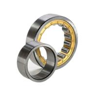 China NU1005EM NU1007EM NU1008EM NJ1007EM NJ1008EM Roller Bearings for Various Applications for sale