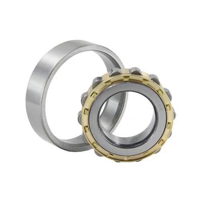 China Other N1014EM NJ1014EM NU1014EM Cylindrical Roller Bearings for Agricultural Machinery for sale