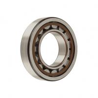 China P5 Precision Rating Cylindrical Roller Bearings N1013EM NJ1013EM NU1013EM 65*100*18mm for sale