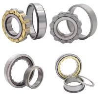 China N1019EM NJ1019EM NU1019EM Cylindrical Roller Bearings 95*145*24mm Steel Cage Open Type for sale