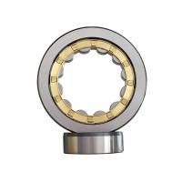 China NJ1021EM NU1021EM Cylindrical Roller Bearing for Other Applications in Market for sale