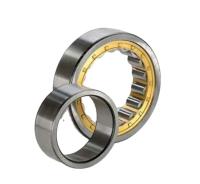 China Cylindrical Roller Bearings NJ1021EM/NU1021EM/NF1021EM for Machinery Repair Shops for sale