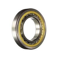 China Single Row Cylindrical Roller Bearing NJ1022EM for Automotive and Construction Machinery for sale