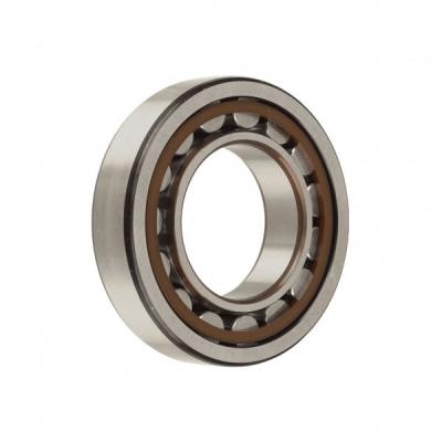 China Automotive Machinery N1026EM NJ1026E EU1026EM Professional Cylindrical Roller Bearings for sale