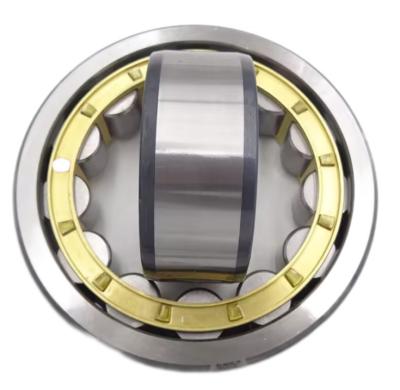 China Cylindrical Roller Bearings N220EM NU220EM NJ220EM NF220EM for Machinery Repair for sale