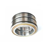 China SL045004PP2NR Double Row Full Complement Cylindrical Roller Bearings for Tractor Machinery for sale
