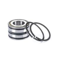China SL045004PP2NR Double Row Full Complement Cylindrical Roller Bearings for Tractor Machinery for sale