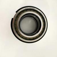 China Automotive Complement SL04 5007 PP2NR Roller Bearings for Durability for sale